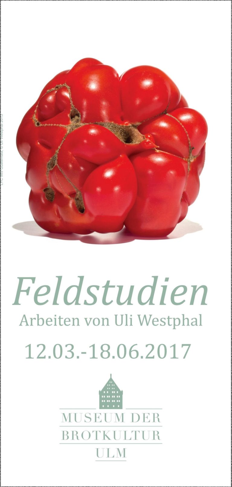 „Feldstudien“ von Uli Westphal - Ausstellung im Museum für Brotkultur in Ulm
